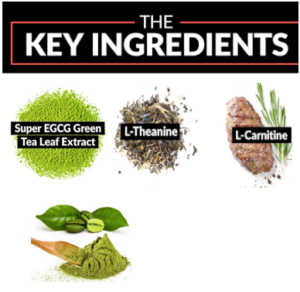 Java Burn Reviews: Weight Loss Metabolism Coffee [Updated 2022]