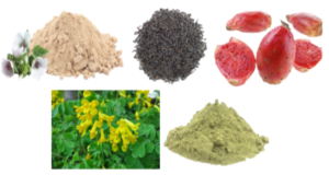 BioNerve Plus Reviews: Is it Safe to Use? Clinical Studies!